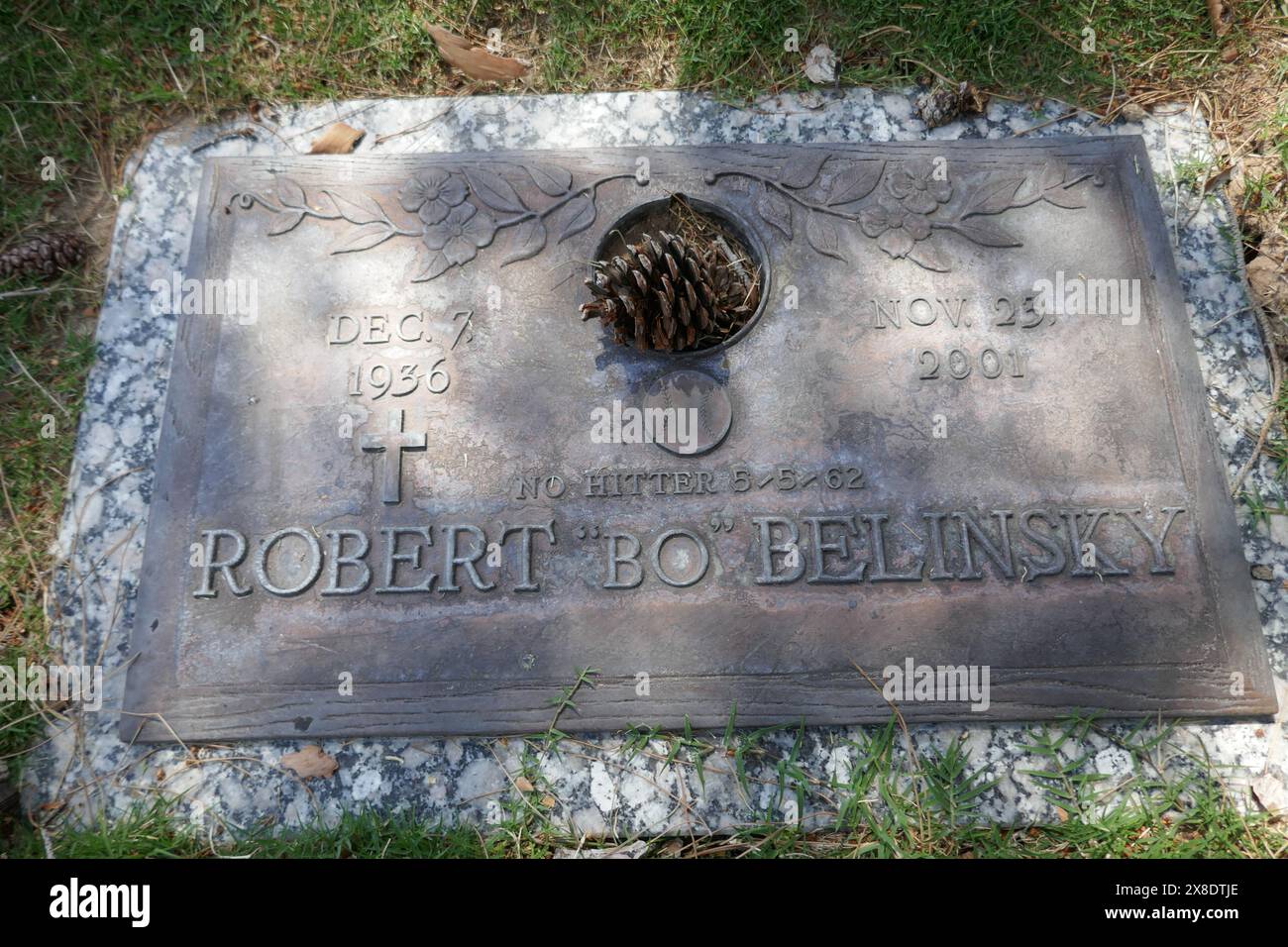 Majore league baseball player hi-res stock photography and images - Alamy