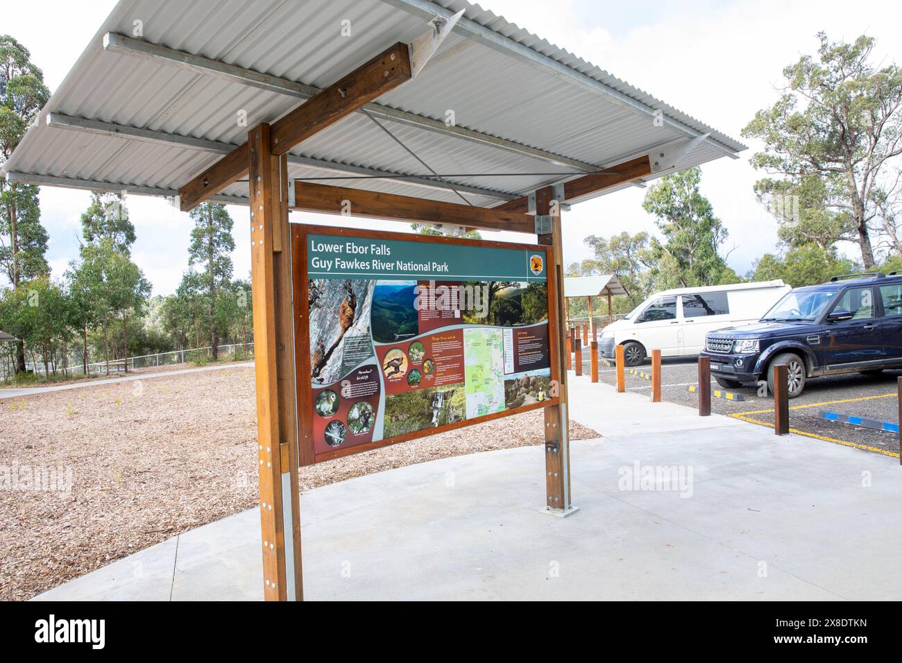 Ebor falls waterfall on Waterfall Way near Dorrigo, national parks ...