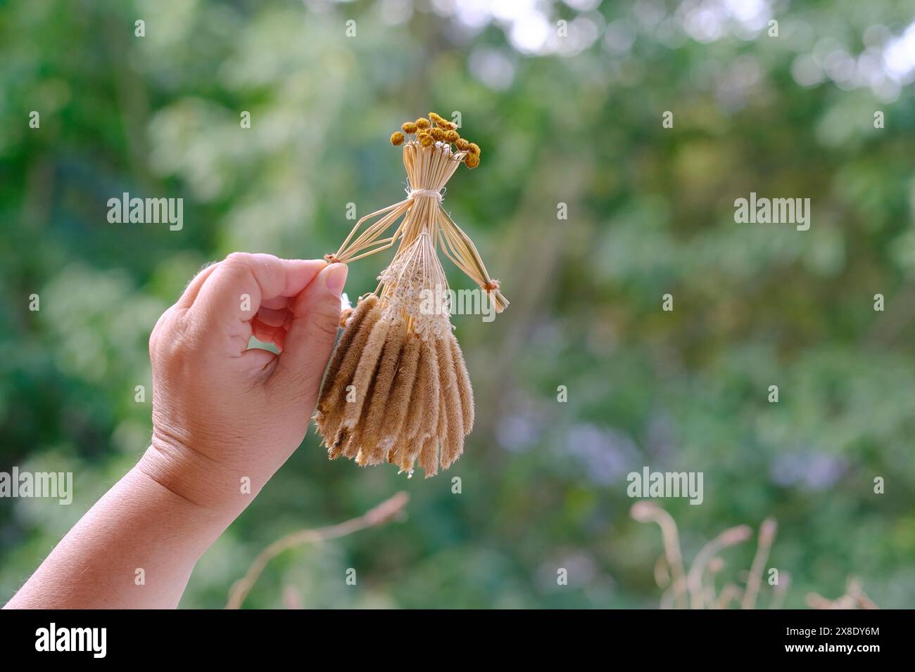 female hands holds ritual doll made of straw, grass in honor rich ...