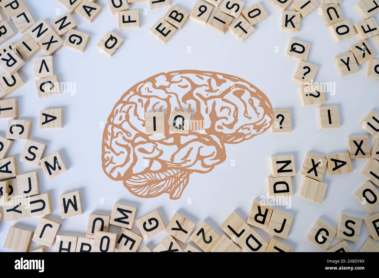 silhouette of brain, word IQ, wooden letters, intelligence quotient on ...