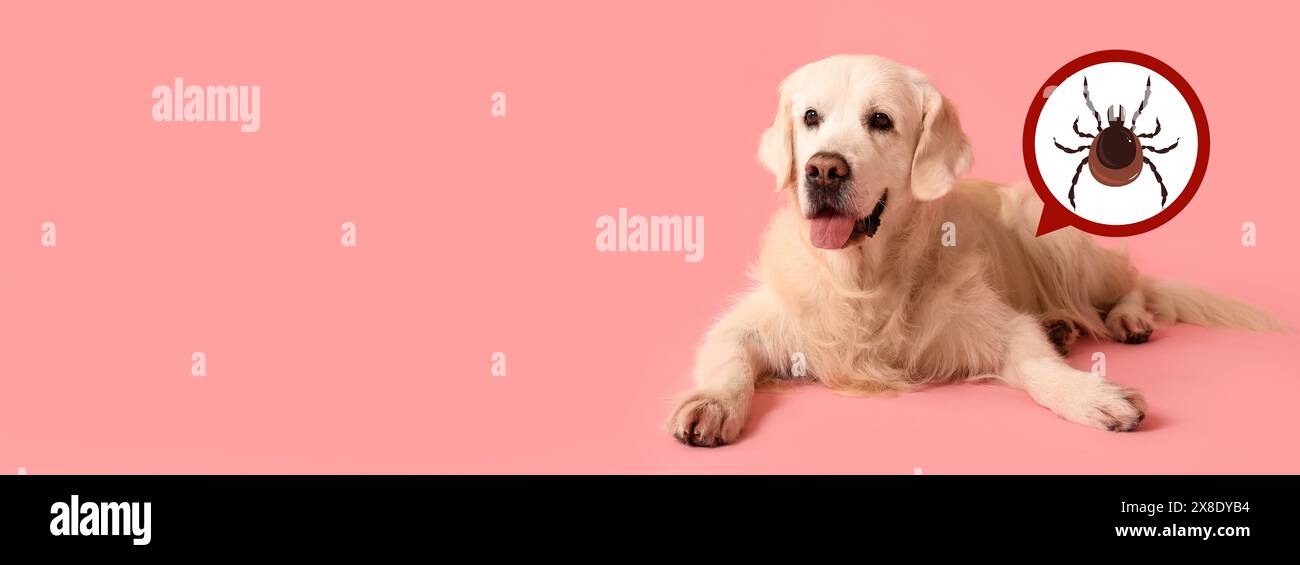 Cute funny dog and drawn tick on pink background with space for text ...