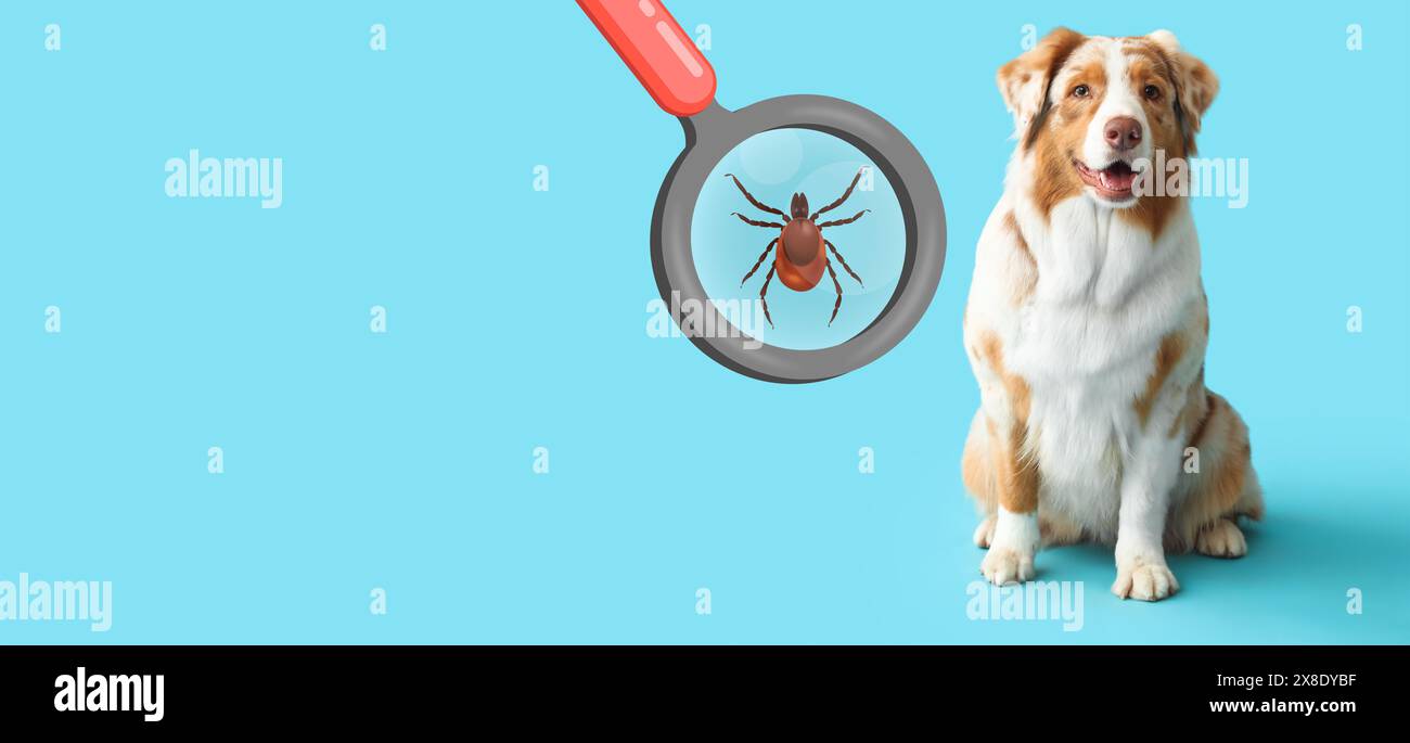 Cute funny dog and tick visible through magnifying glass on light blue ...