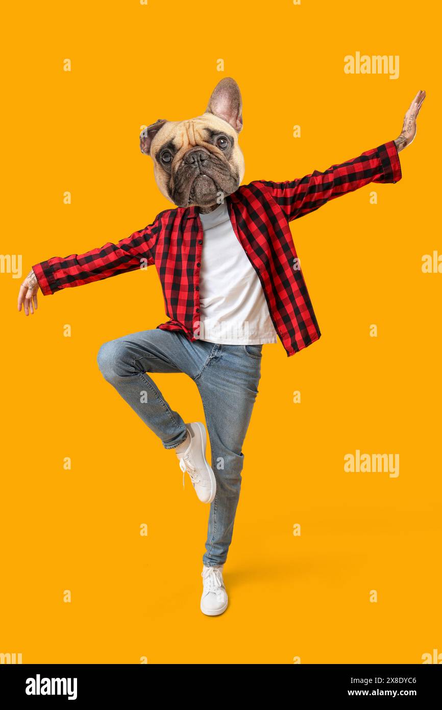 Rhythm the dancing dog hi-res stock photography and images - Alamy