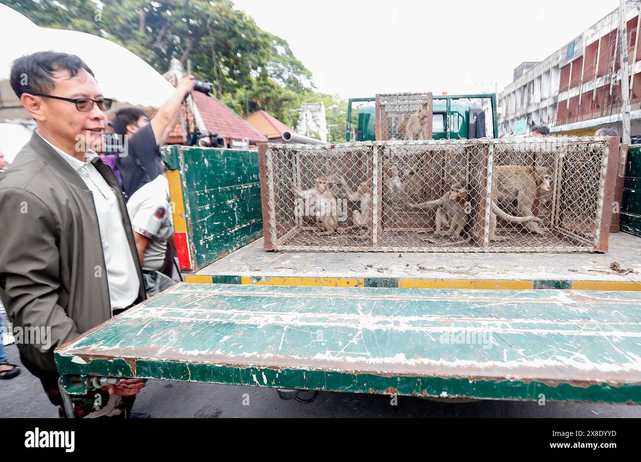 Animal testing monkey cage hi-res stock photography and images - Alamy