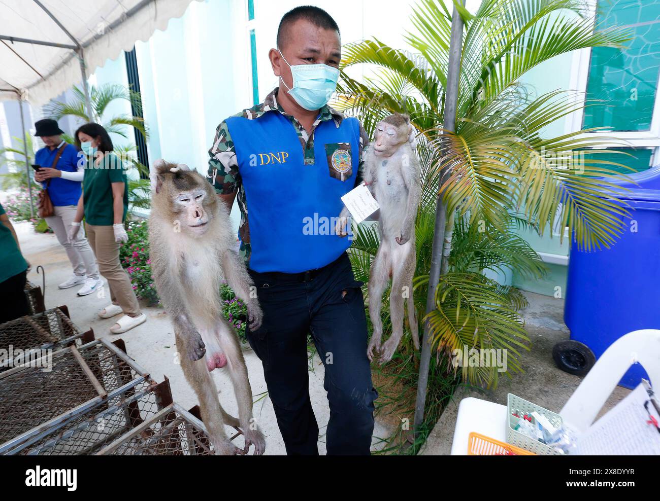 Animal testing monkey cage hi-res stock photography and images - Alamy