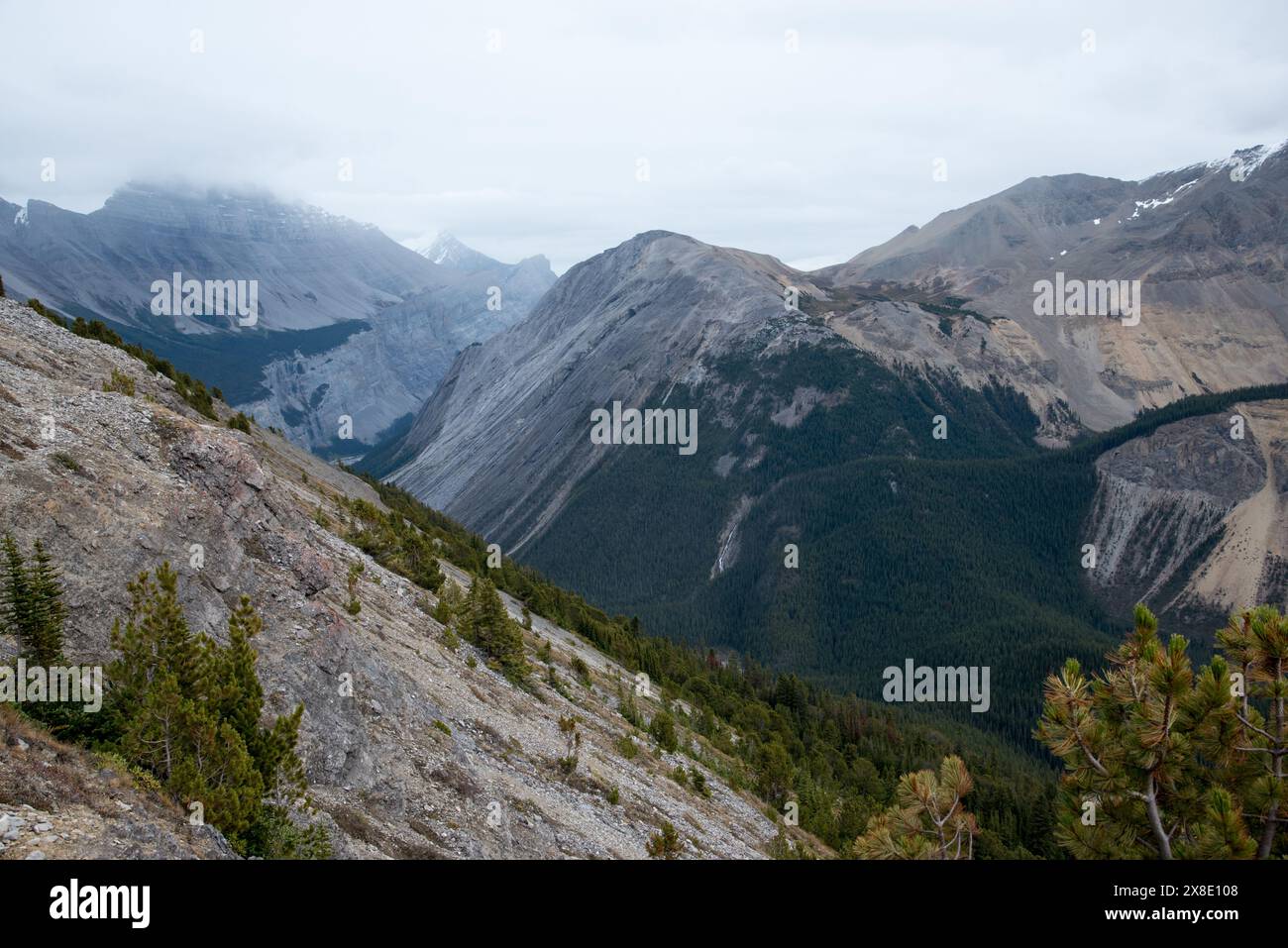 Canadian Rocky Mountains in Banff National Park in Alberta in Canada ...