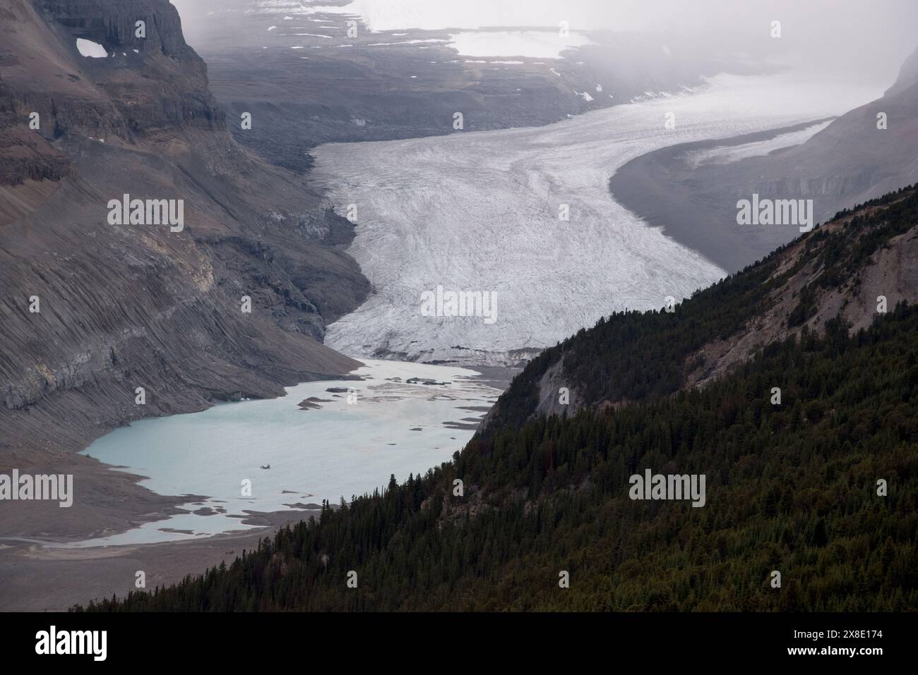 Saskatchewan Glacier is running from Columbia Icefield which is the ...