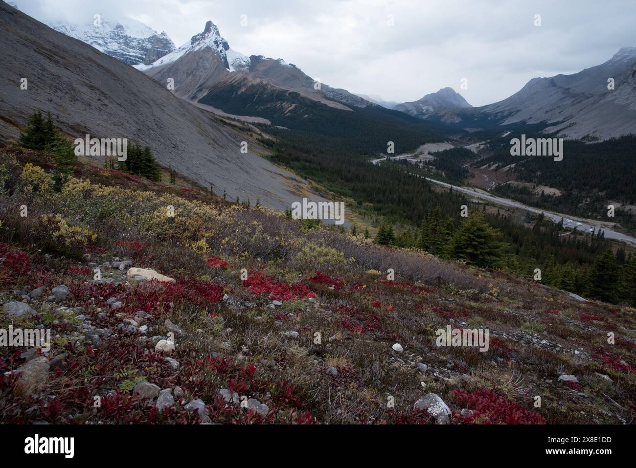 Canadian Rocky Mountains in Banff National Park in Alberta in Canada ...