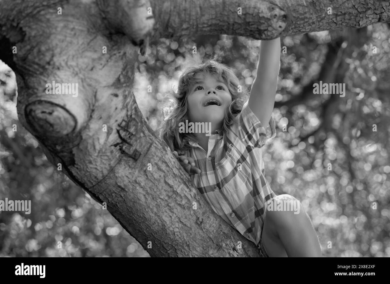 Child climbing a tree. Happy young boy play in summer garden. Kid on a ...