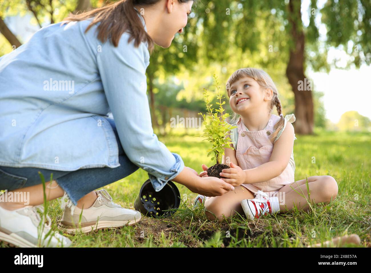Mother and her daughter planting tree together in garden Stock Photo ...
