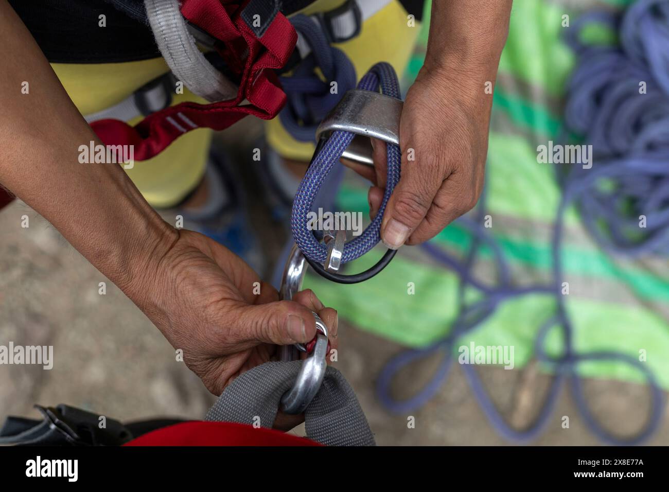 Preparing the braking devices and carabiners. Climbing safety equipment ...