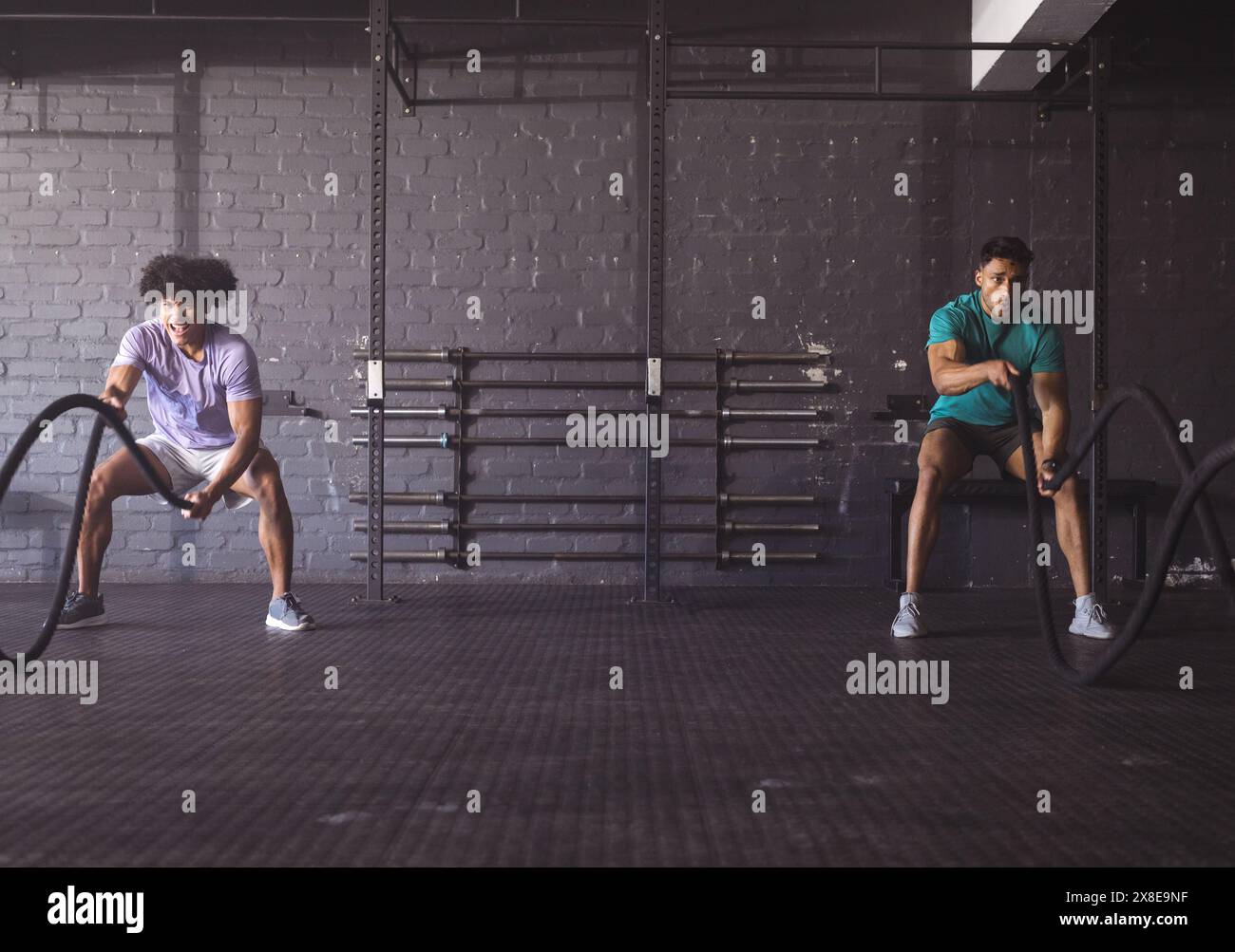Two young biracial men are working out with battle ropes at gym with ...