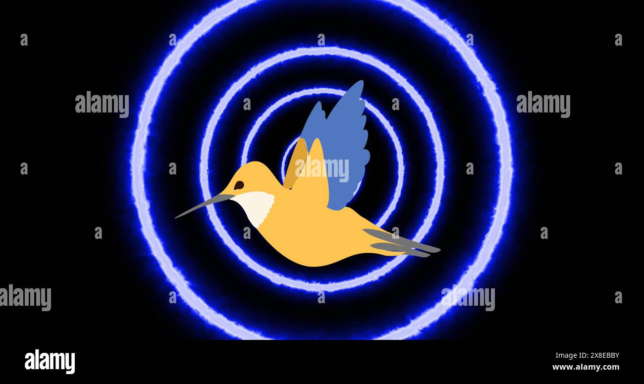 A yellow and blue bird flying through blue concentric circles. Bright ...