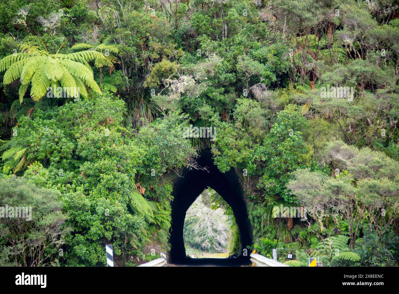 Okau Road Tunnel - New Zealand Stock Photo - Alamy