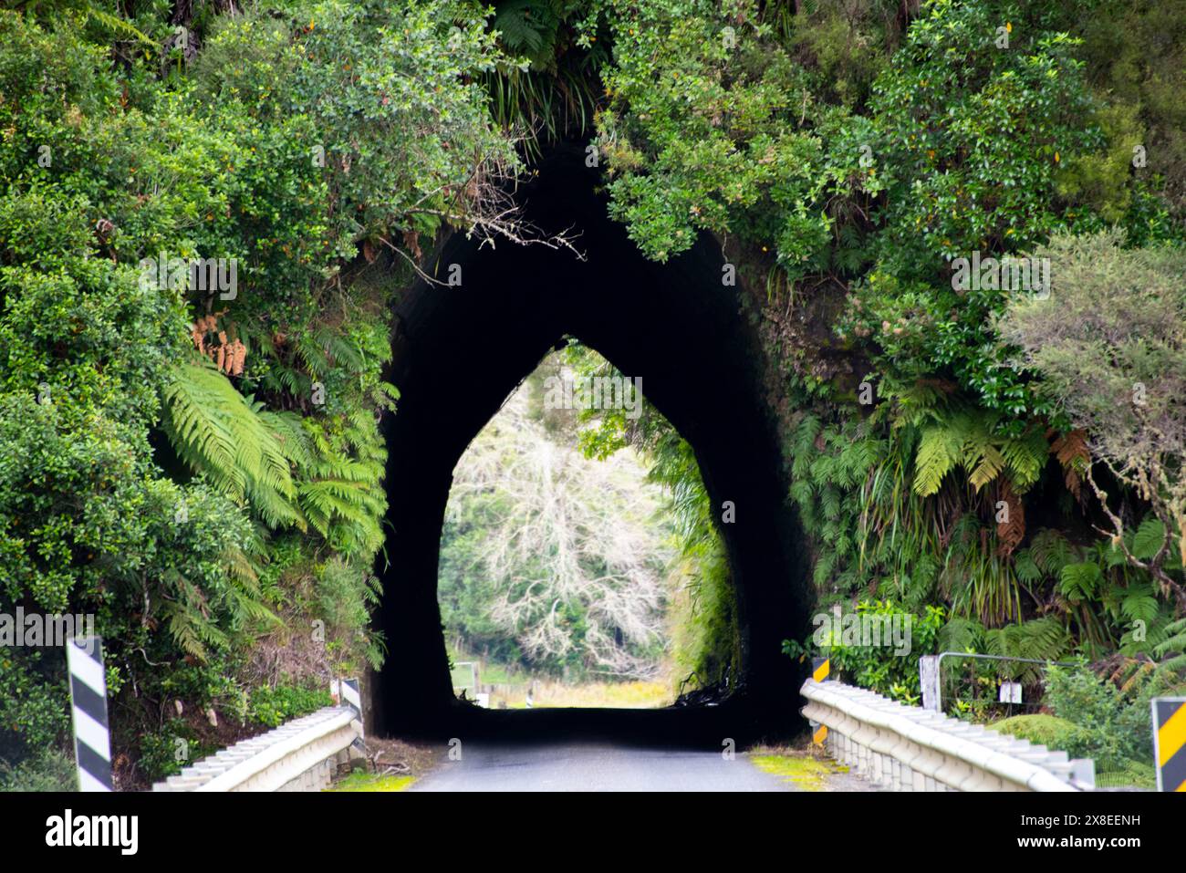 Okau Road Tunnel - New Zealand Stock Photo - Alamy