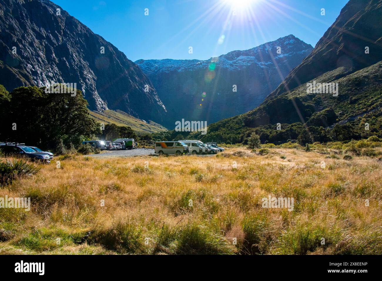Gertrude Valley in Milford Sound - New Zealand Stock Photo - Alamy