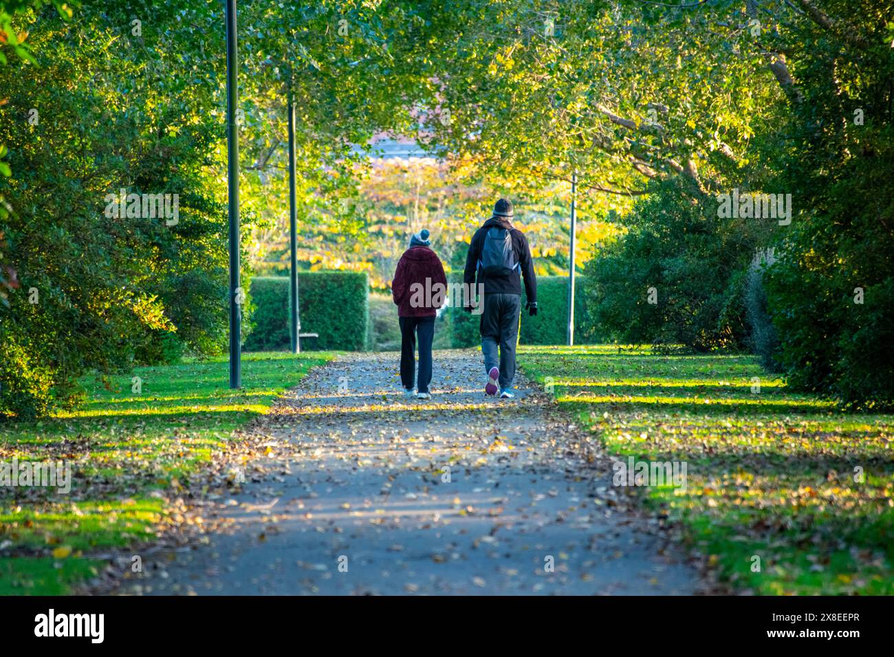 Invercargill new zealand and city hi-res stock photography and images ...
