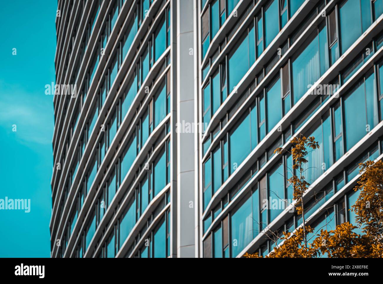 Modern financial buildings in business district; Architectural ...