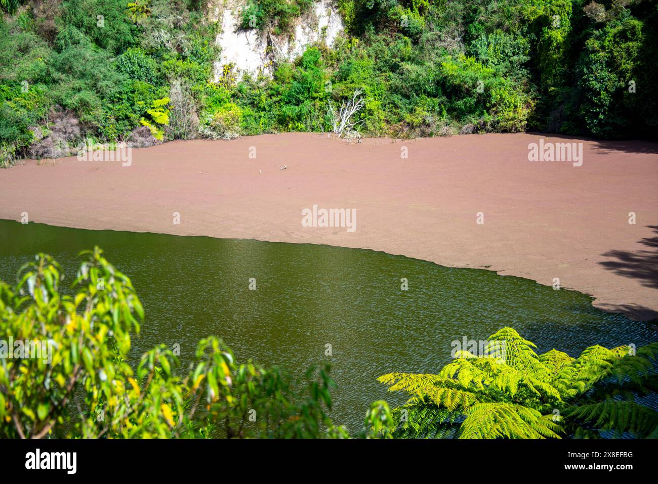 Southern Crater Lake in Waimangu Volcanic Valley - New Zealand Stock ...
