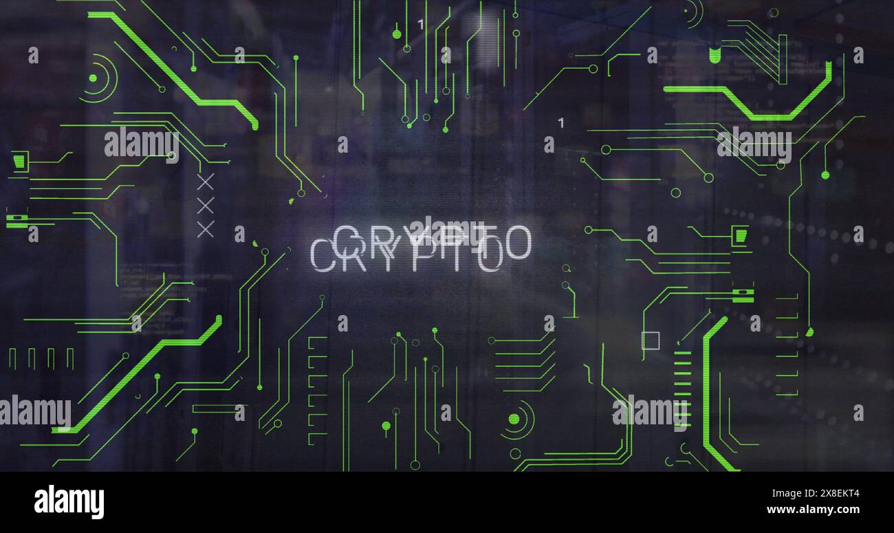 Image Of Crypto Text And Binary Codes With Circuit Board Pattern Over Data Serve Room Stock