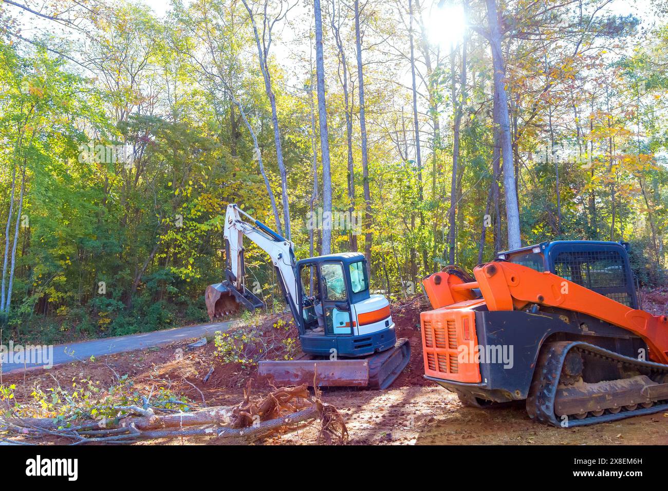 An uprooted tree is uprooted by tractor during construction, preparing ...