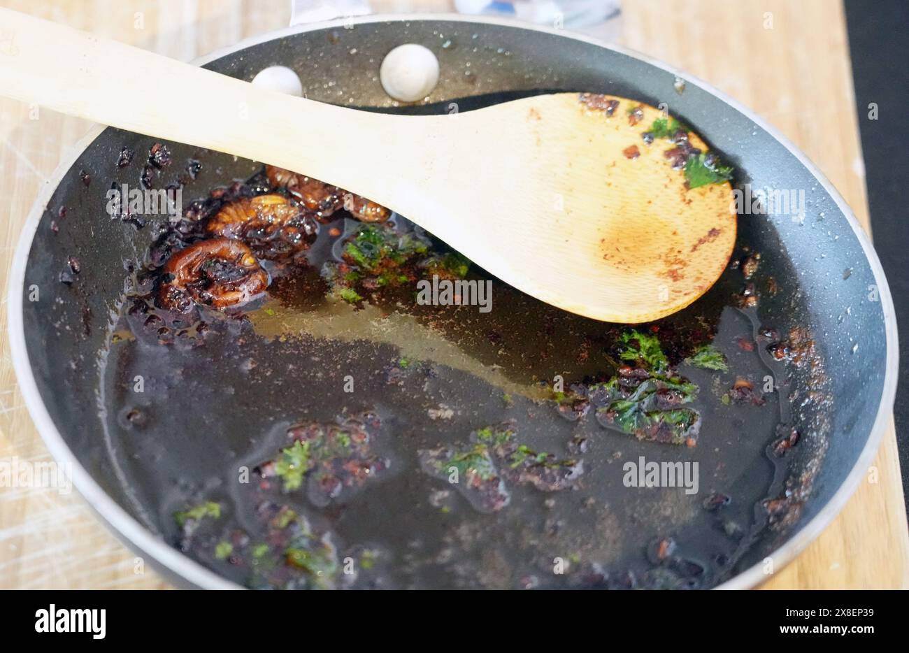 Cooked Cicada's sit in a pan of grease after being prepared to eat ...