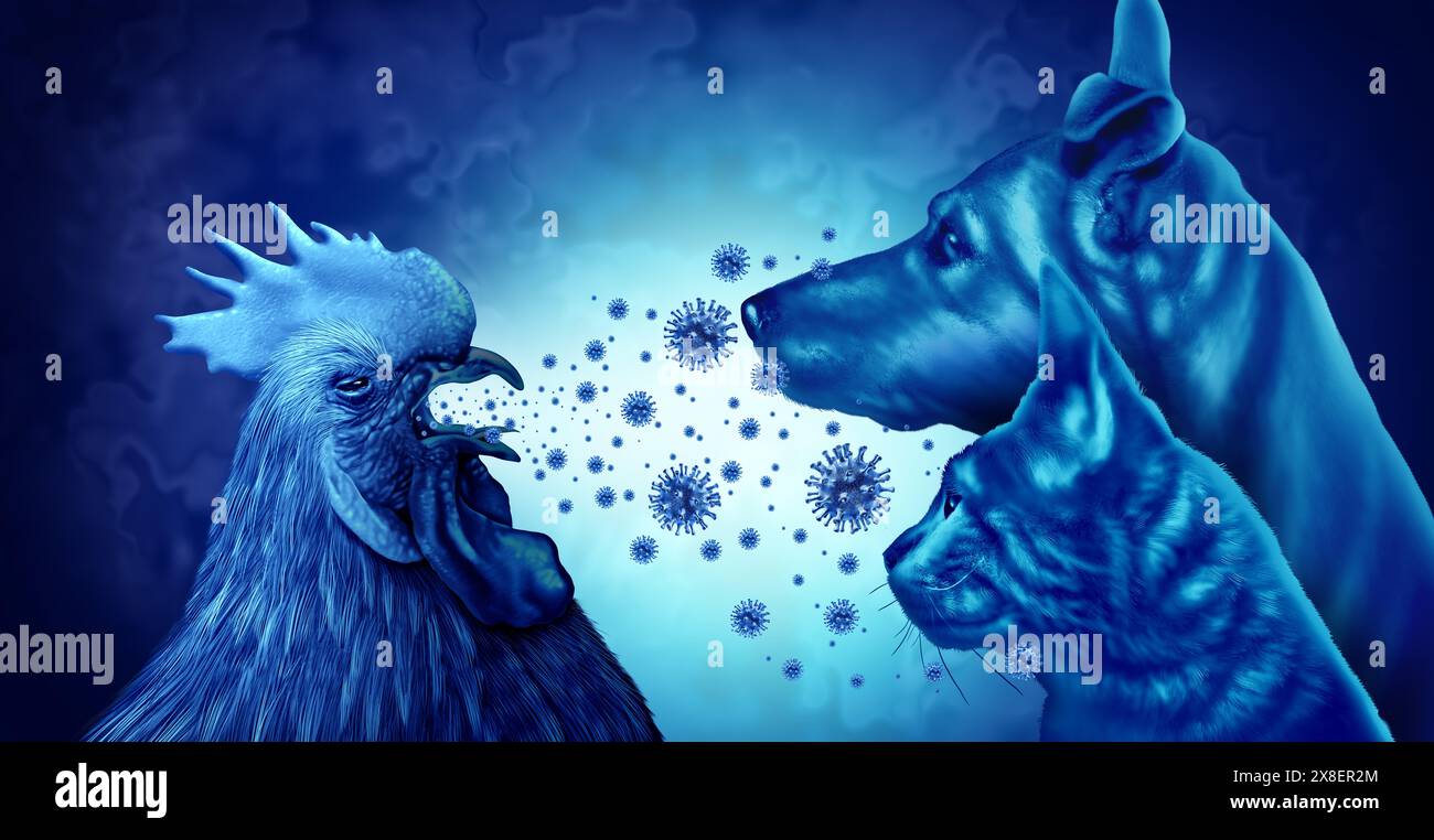 Feline influenza hi-res stock photography and images - Alamy