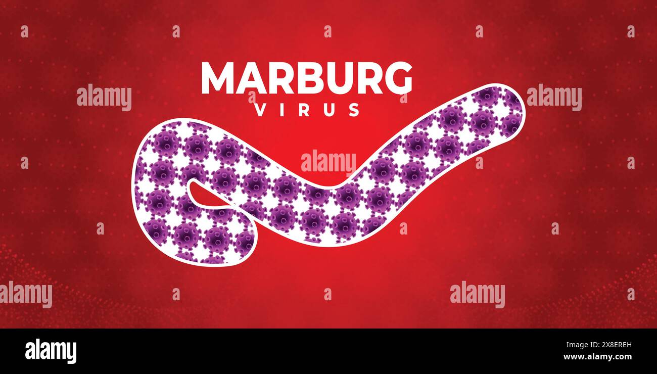 Symptoms or precautions. MARBURG virus outbreak pandemic design with ...
