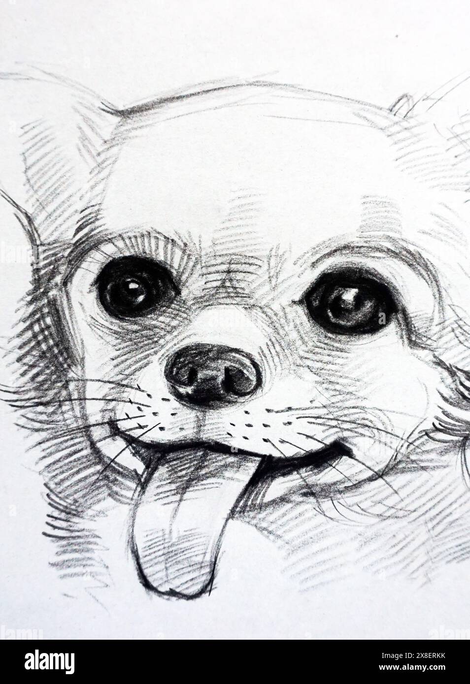 Art Drawing Sketch out line Face Cute chihuahua dog Stock Photo - Alamy