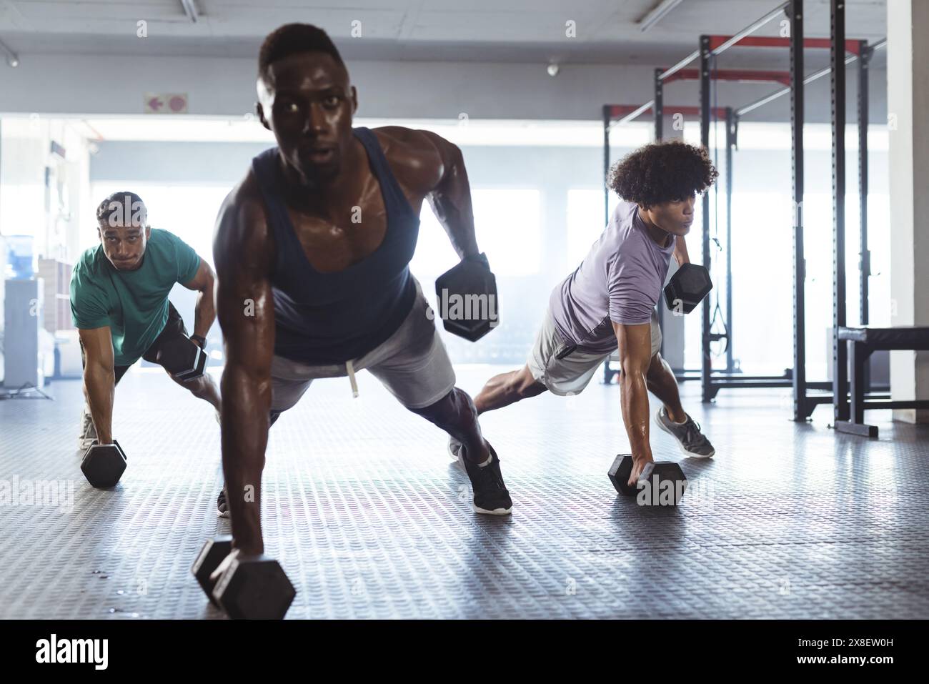 At gym, three young, fit, and diverse men training with dumbbells. Gym ...
