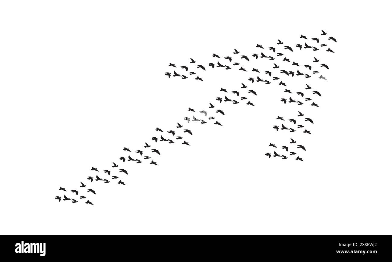 Dove flying vector vectors Black and White Stock Photos & Images - Alamy