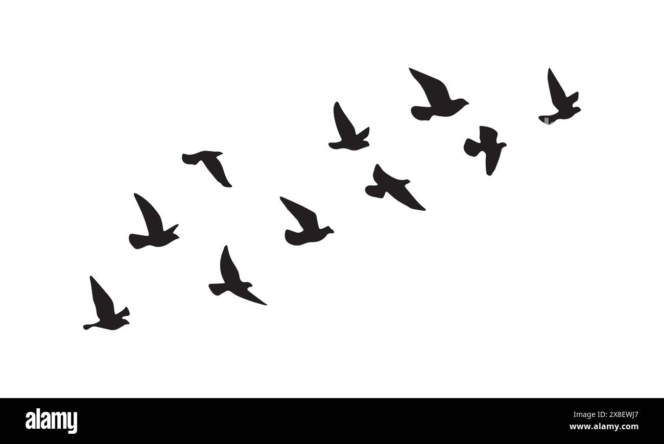 Dove flying vector vectors Black and White Stock Photos & Images - Alamy