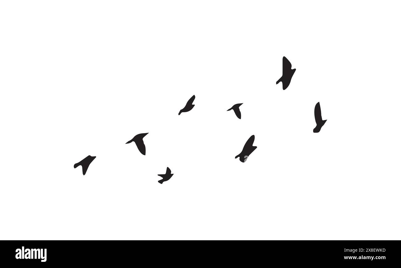 Bird flying vector vectors hi-res stock photography and images - Alamy