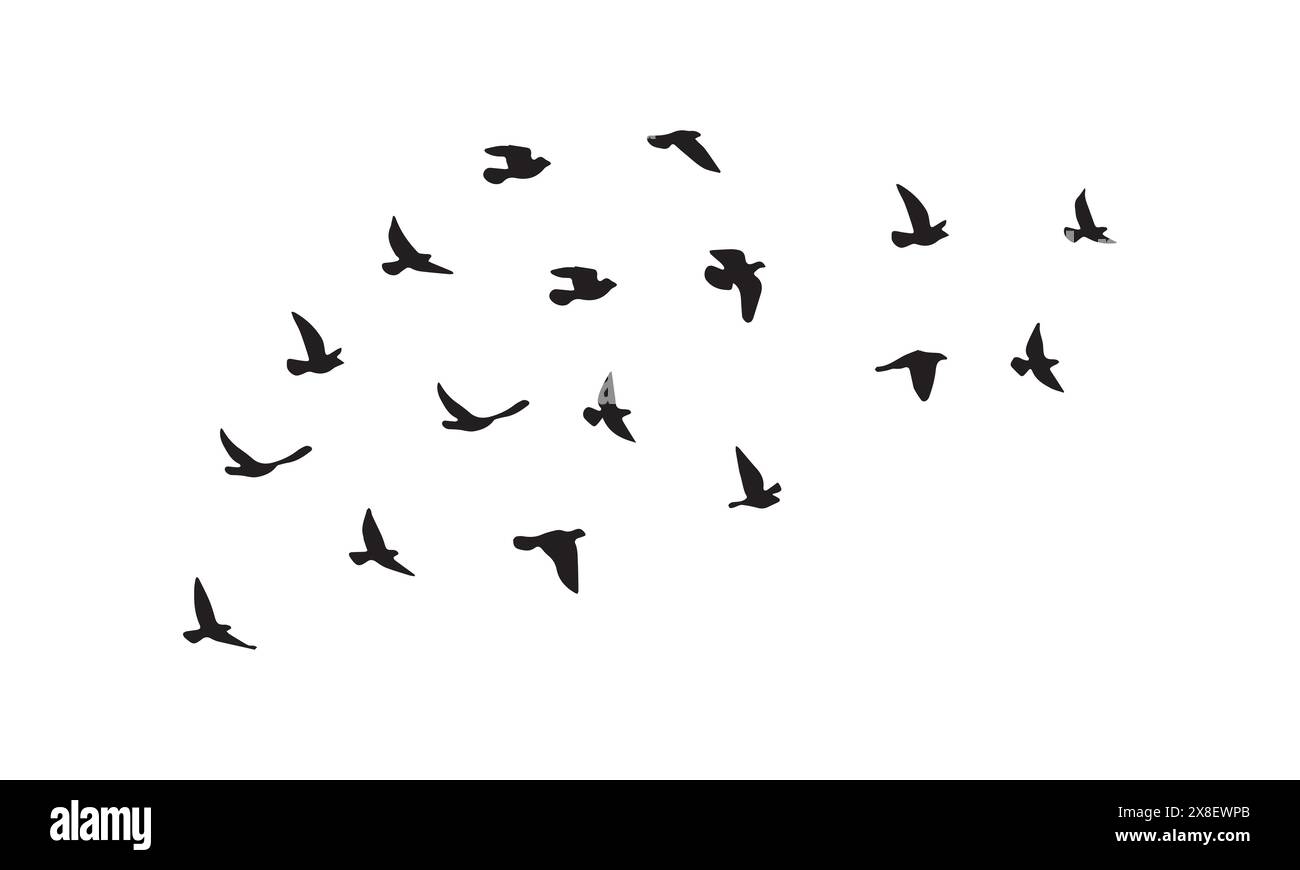 Bird flying vector vectors hi-res stock photography and images - Alamy