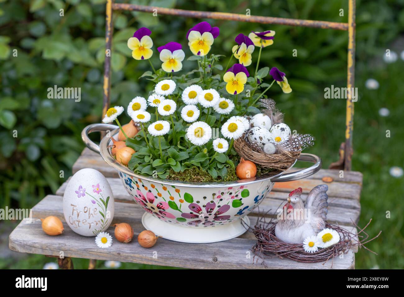 easter arrangement with white bellis perennis, viola flower and easter ...