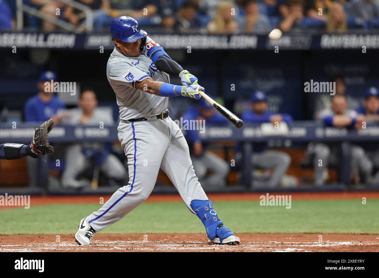 St. Petersburg, FL: Kansas City Royals catcher Salvador Perez (13 ...