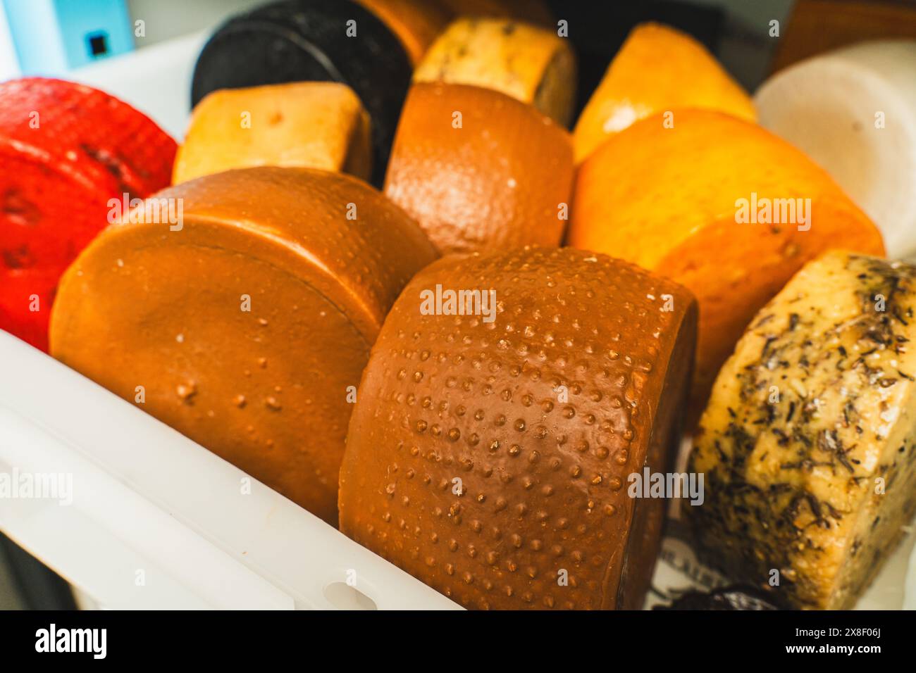 Close-up of different types of cheese wheels. Cheese production, the ...