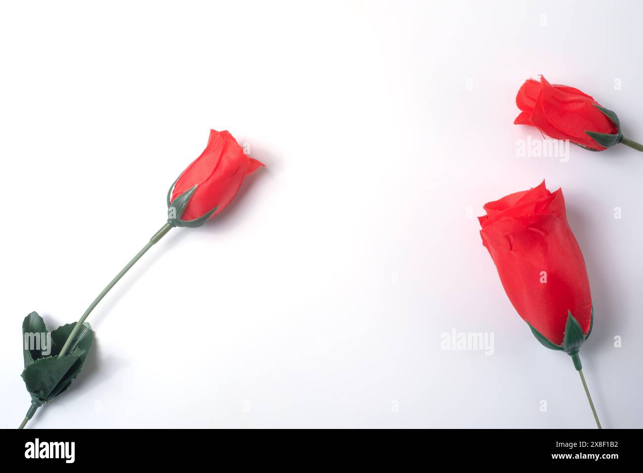 Red rose isolated on white background with copy space. valentine's day ...