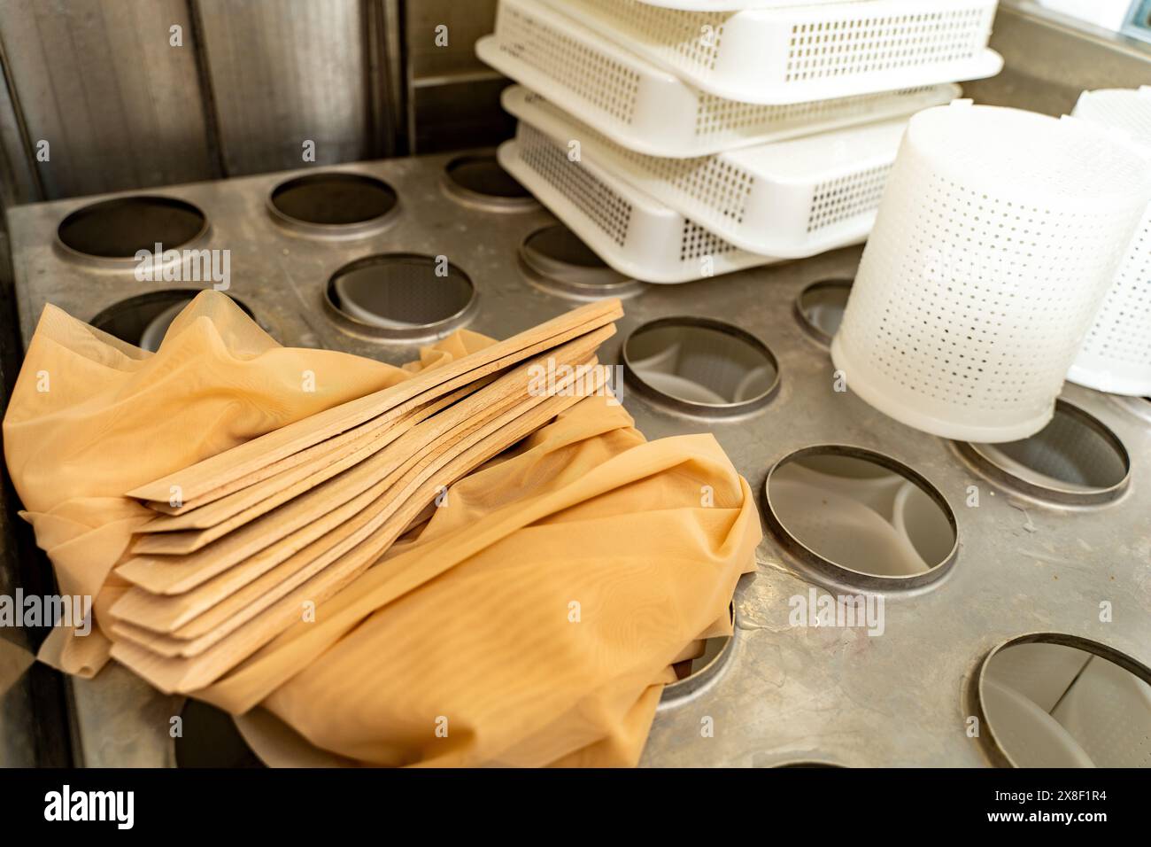Empty cheese production blanks, small cheese farm, mozzarella and ...