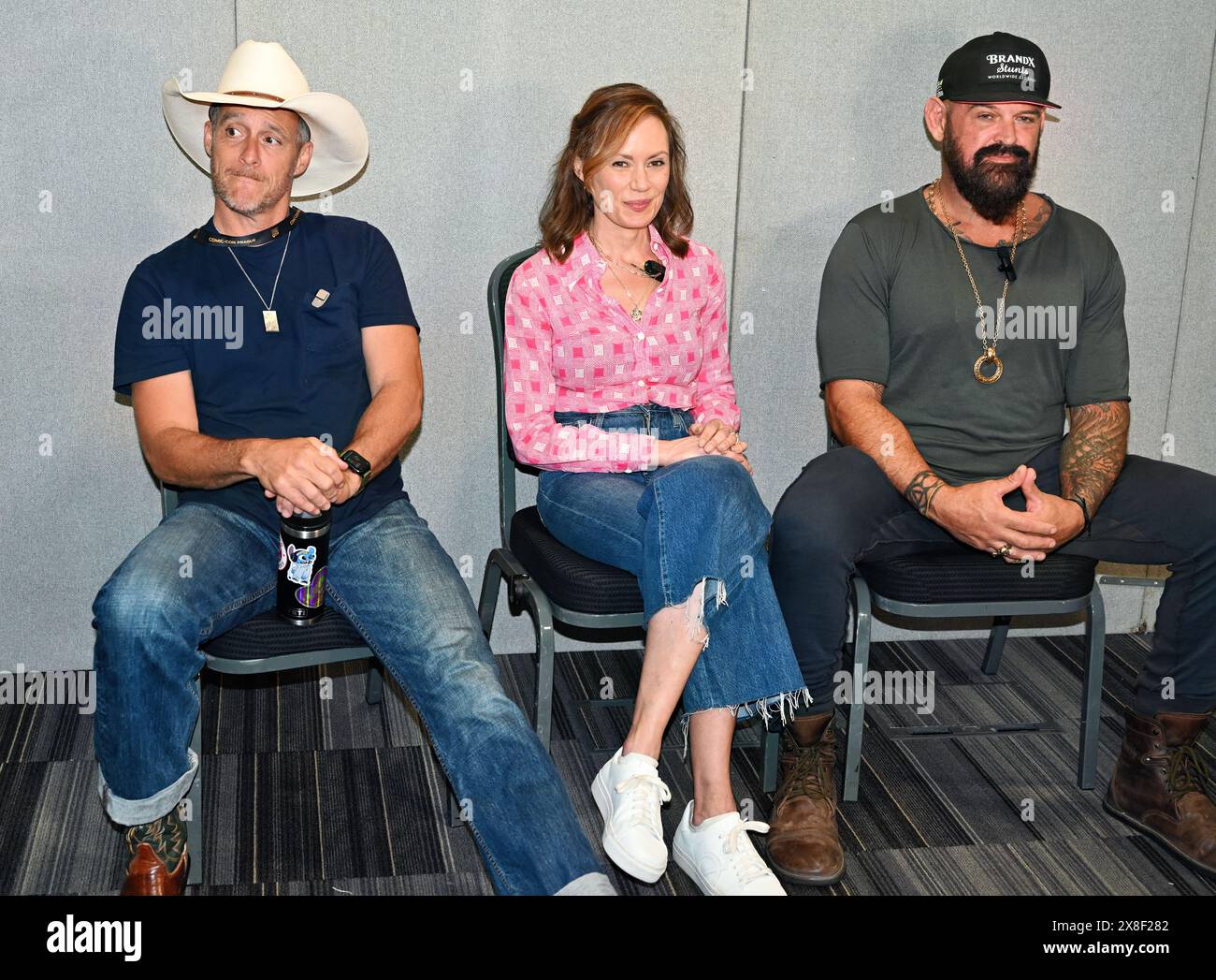 Akira toriyama tribute panel hi-res stock photography and images - Alamy