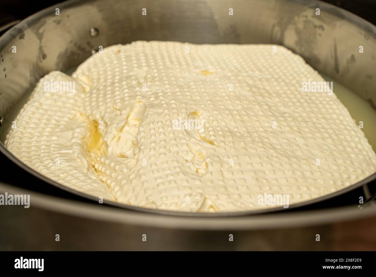 Maturation of Italian mozzarella cheese. Close-up. High quality photo ...