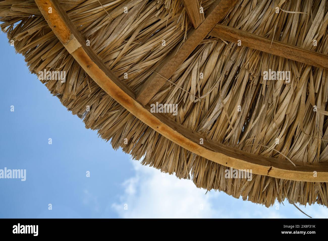 A detailed view under a traditional thatched roof revealing the ...
