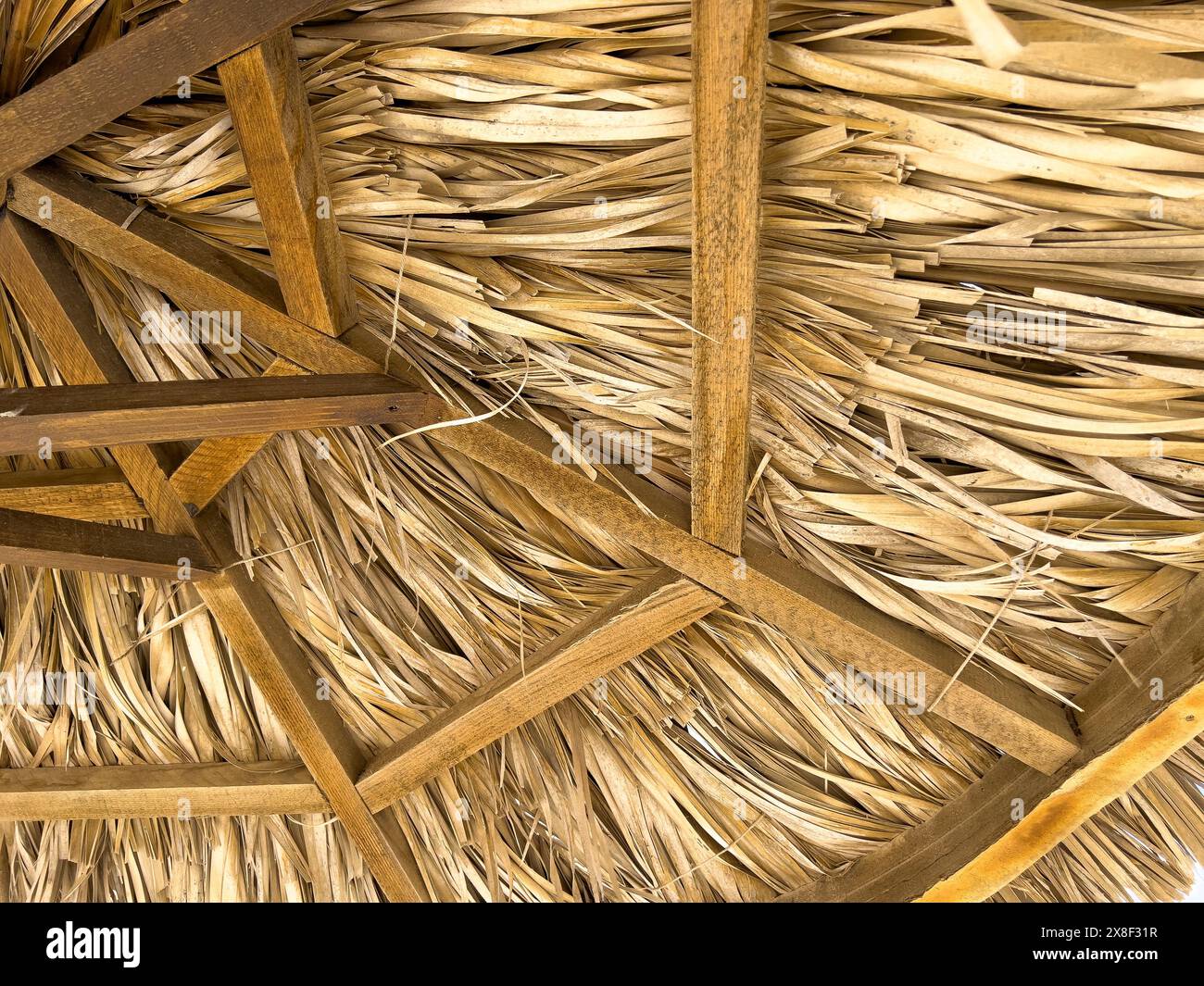 Exploring the complex beauty and craftsmanship of a traditional ...