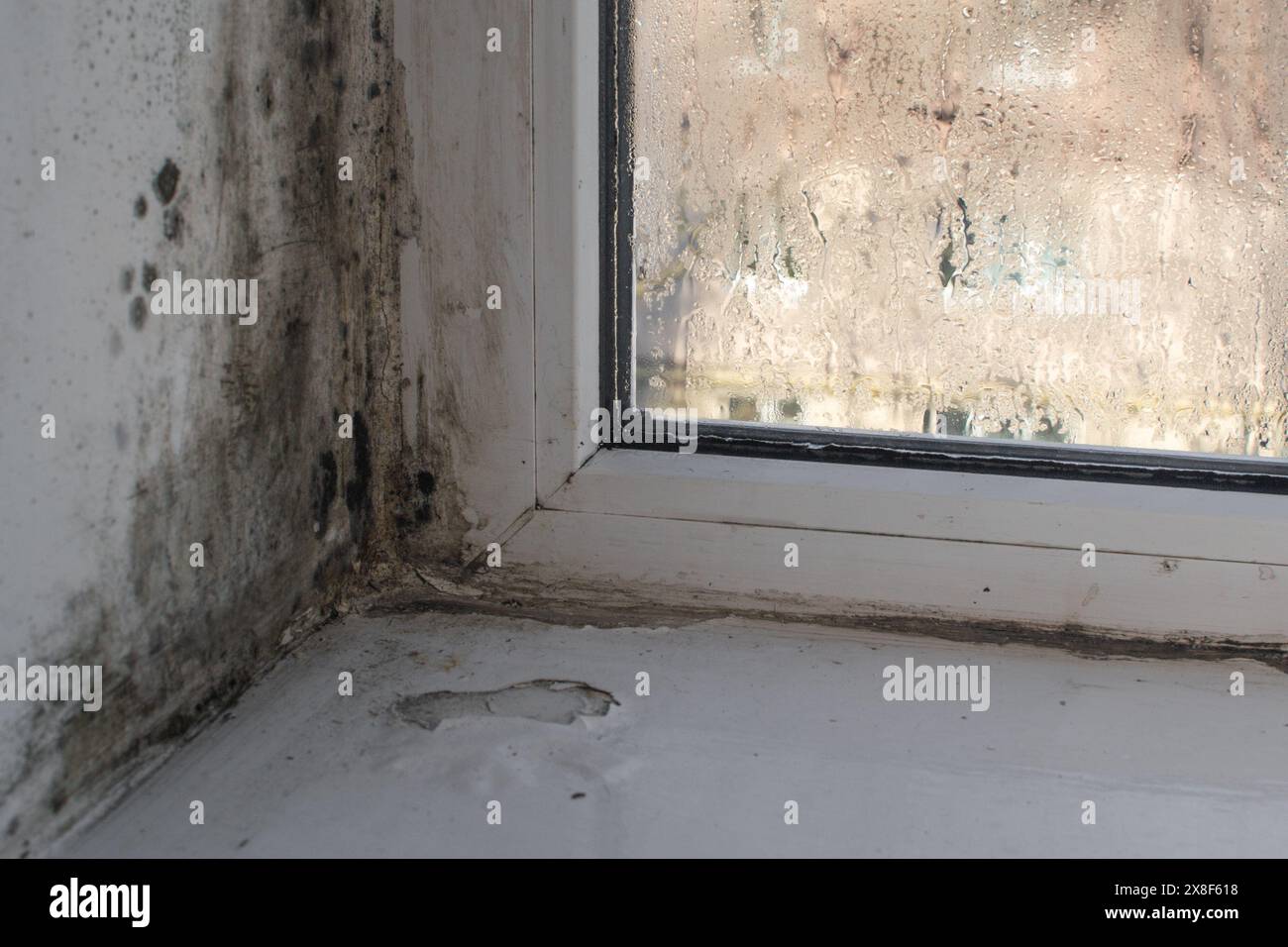 Renovation stained glass window in hi-res stock photography and images ...
