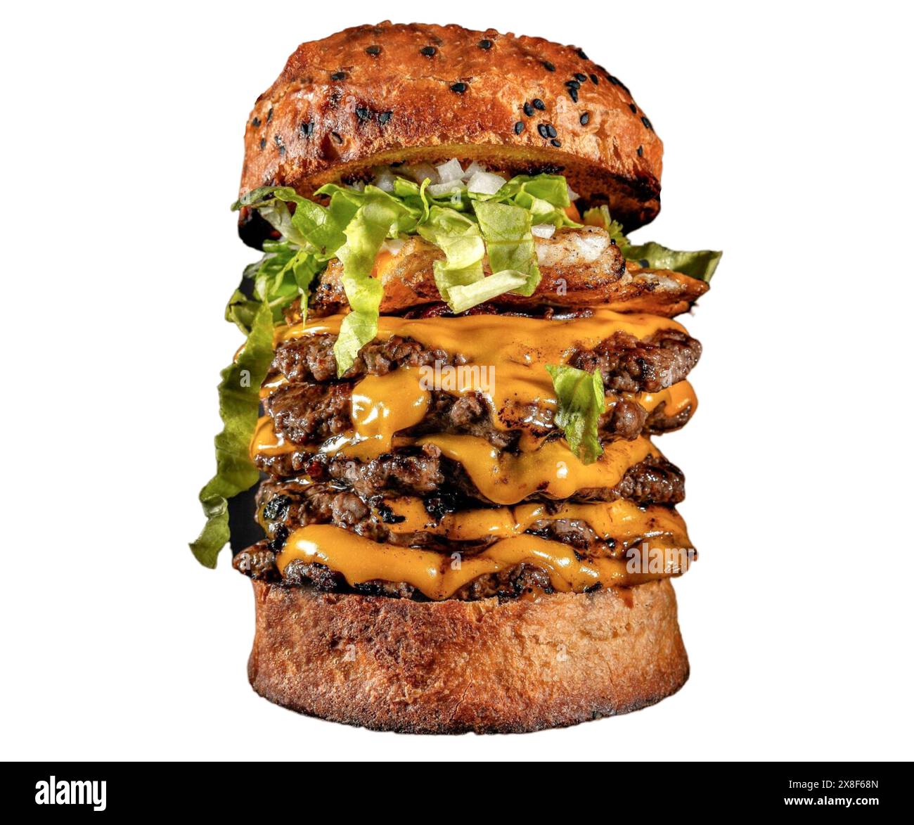 Big double cheddar cheeseburger fresh tasty hamburger. Large fresh ...