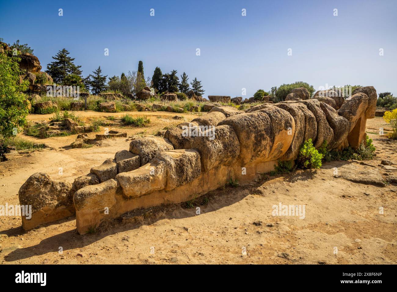 A Telamon from the Temple of Olympian Zeus in the Olympeion field ...