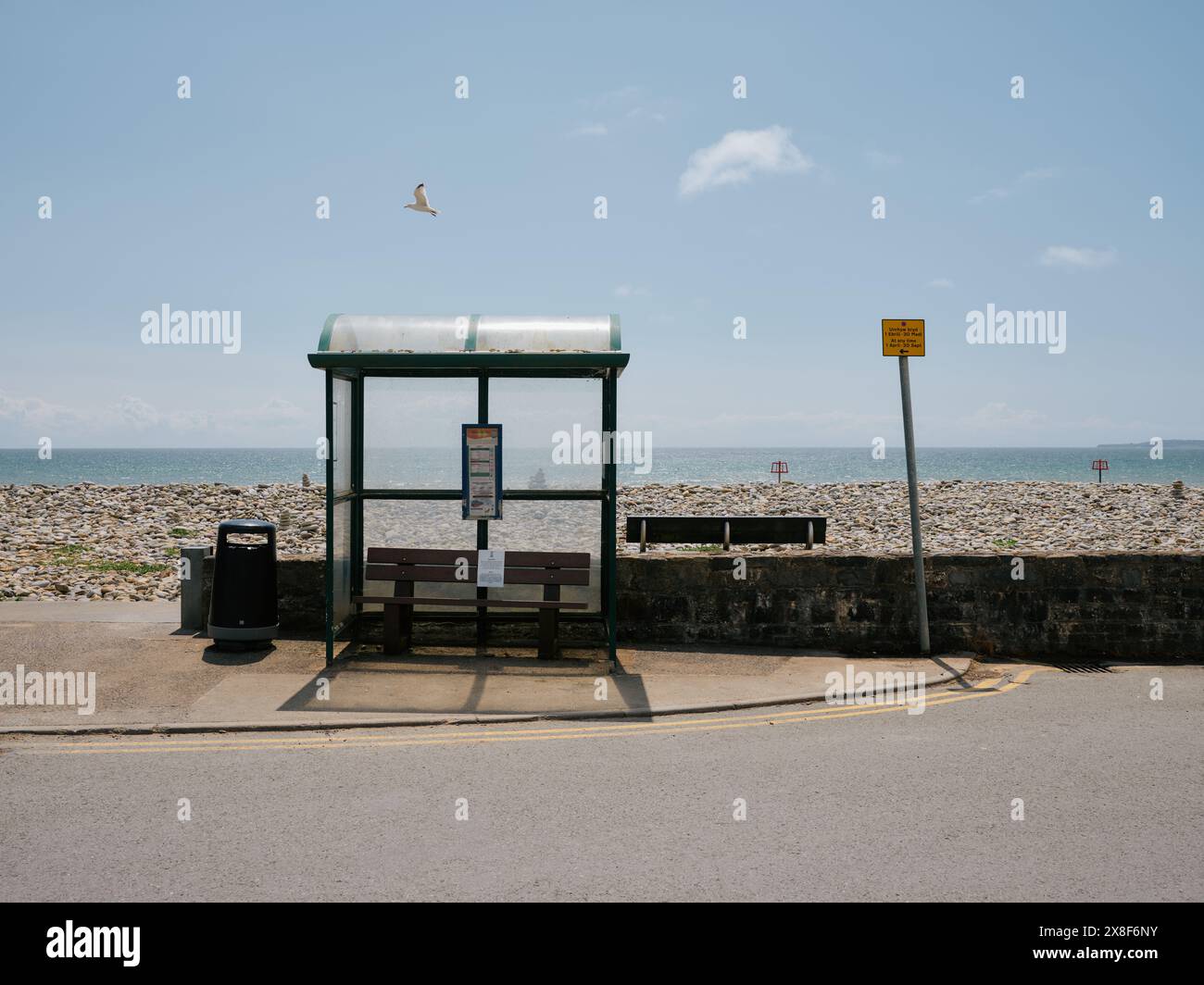 A lone seagull flying over an empty bus stop and parking restriction ...