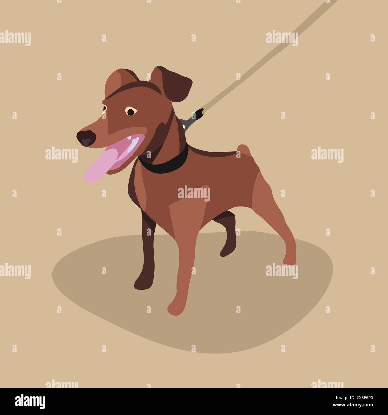 Vector isolated illustration of a miniature pinscher dog Stock Vector ...