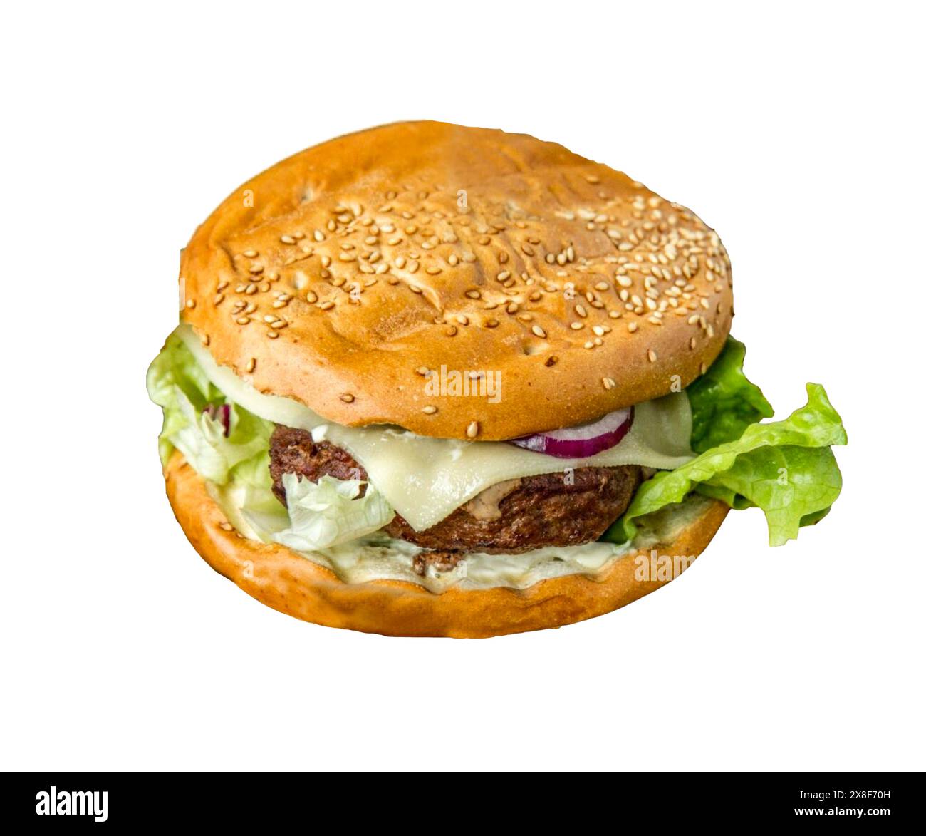 fresh tasty hamburger Classic cheeseburger with beef patty, pickles ...