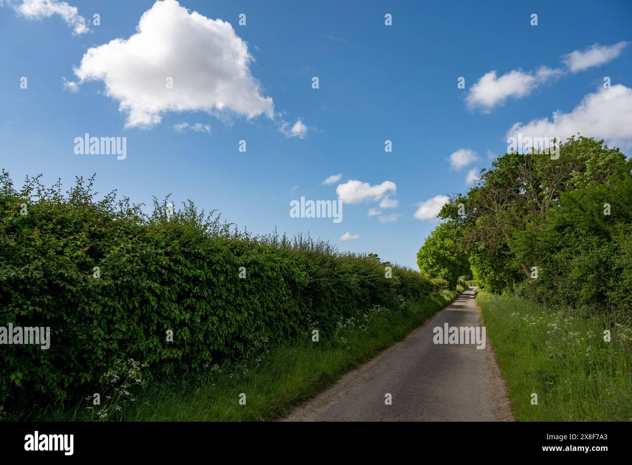 Red House farm lane Bawdsey Suffolk Stock Photo - Alamy